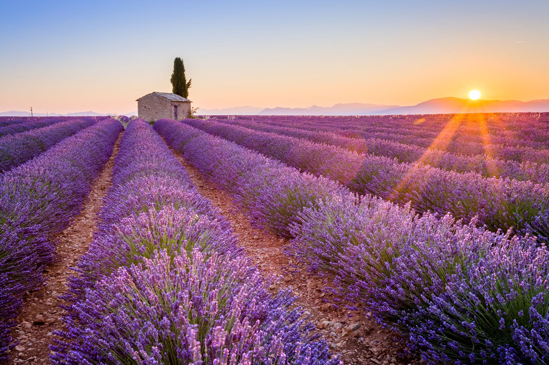 Plateau de Valensole | Camping les Restanques